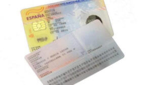 NIF (Número de Identificación Fiscal) | STEL Order