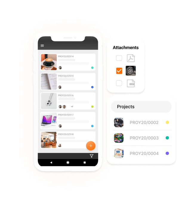 Project Management Program - STEL Order