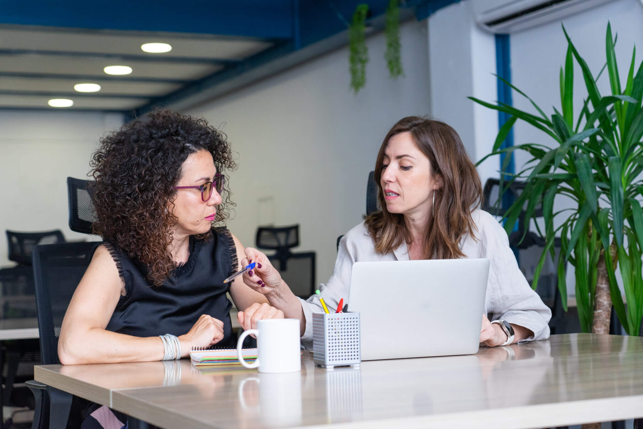 Cómo usar el IDSE desde su empresa: guía completa paso a paso - STEL Order